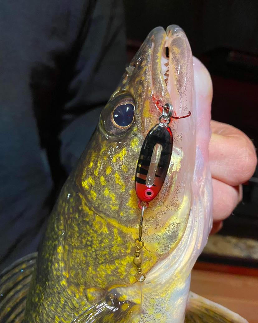FishDaddy Micro LED Spoon – FishDaddy Outdoors