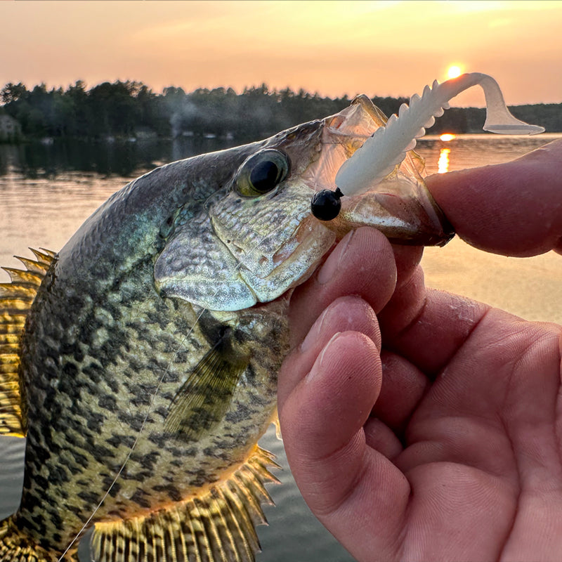 FishDaddy Spike J-Shad BioSilicone Soft Plastics – FishDaddy Outdoors