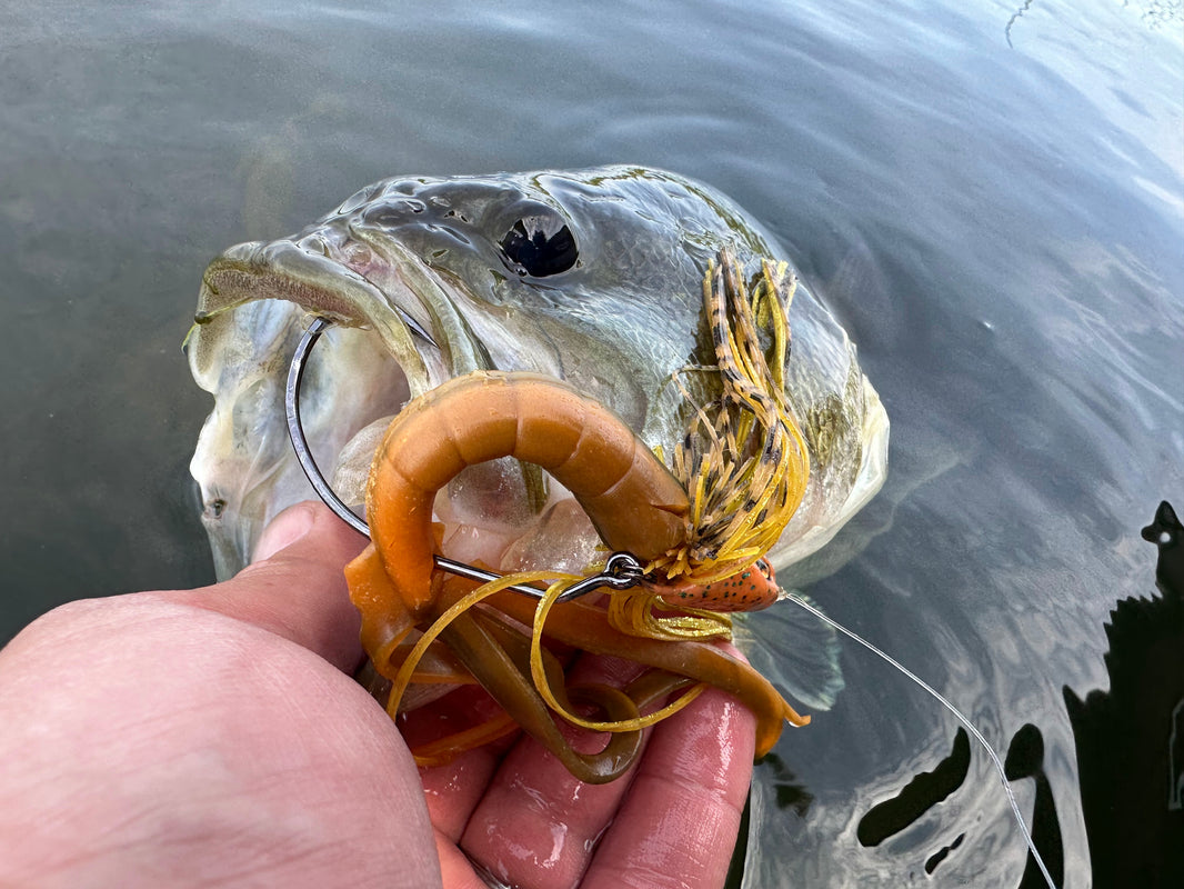 SOFT LURES – FishDaddy Outdoors